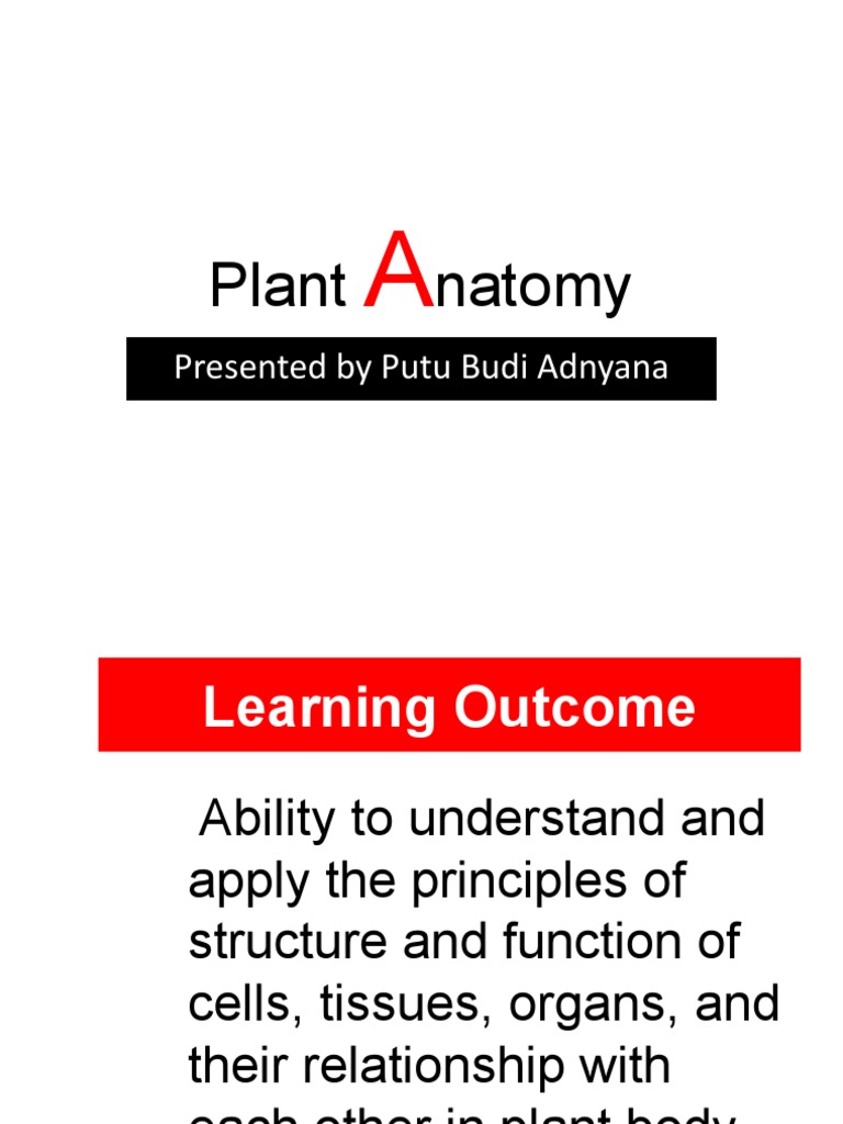 1-General Structure of Seed Plant | PDF | Tissue (Biology) | Plants