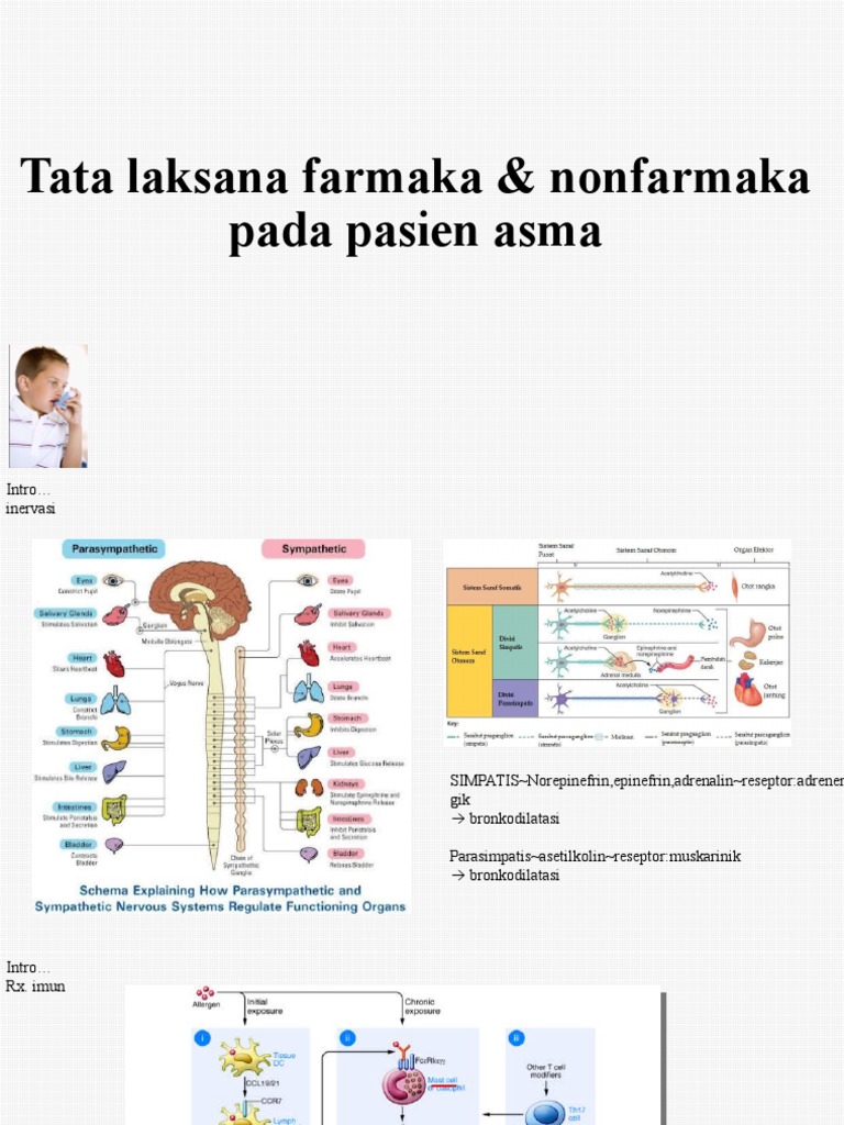 Tata Laksana Farmaka & Nonfarmaka Pada Pasien Asma | PDF