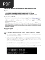 DC1 STPS Formato Word Editable | PDF