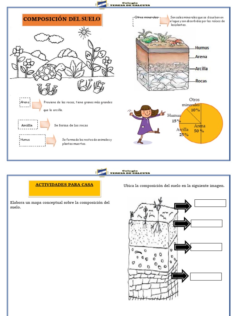 Composicion Del Suelo PDF | PDF