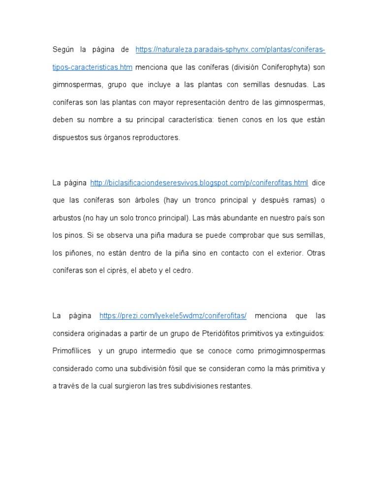Sintesis de Coniferofitas | PDF | Pinophyta | Plantas