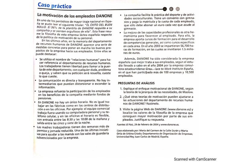 Caso Práctico DANONE | PDF