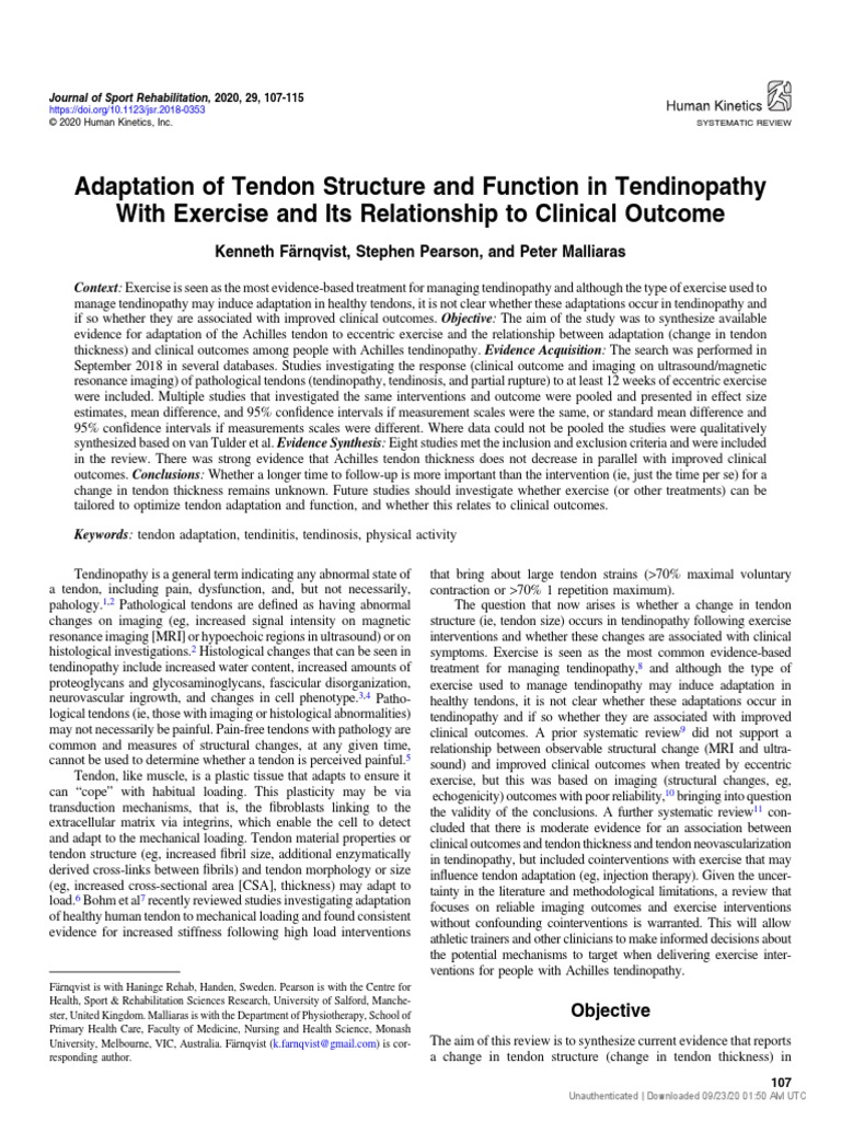 Adaptation of Tendon Structure and Function in Tendinopathy With ...