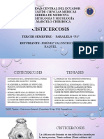 Principios Del Principialismo | PDF | Bioética | Moralidad