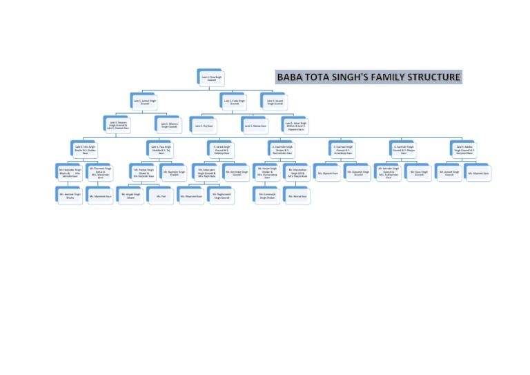 Baba Tota Singh'Family Structure | PDF | Sikhism