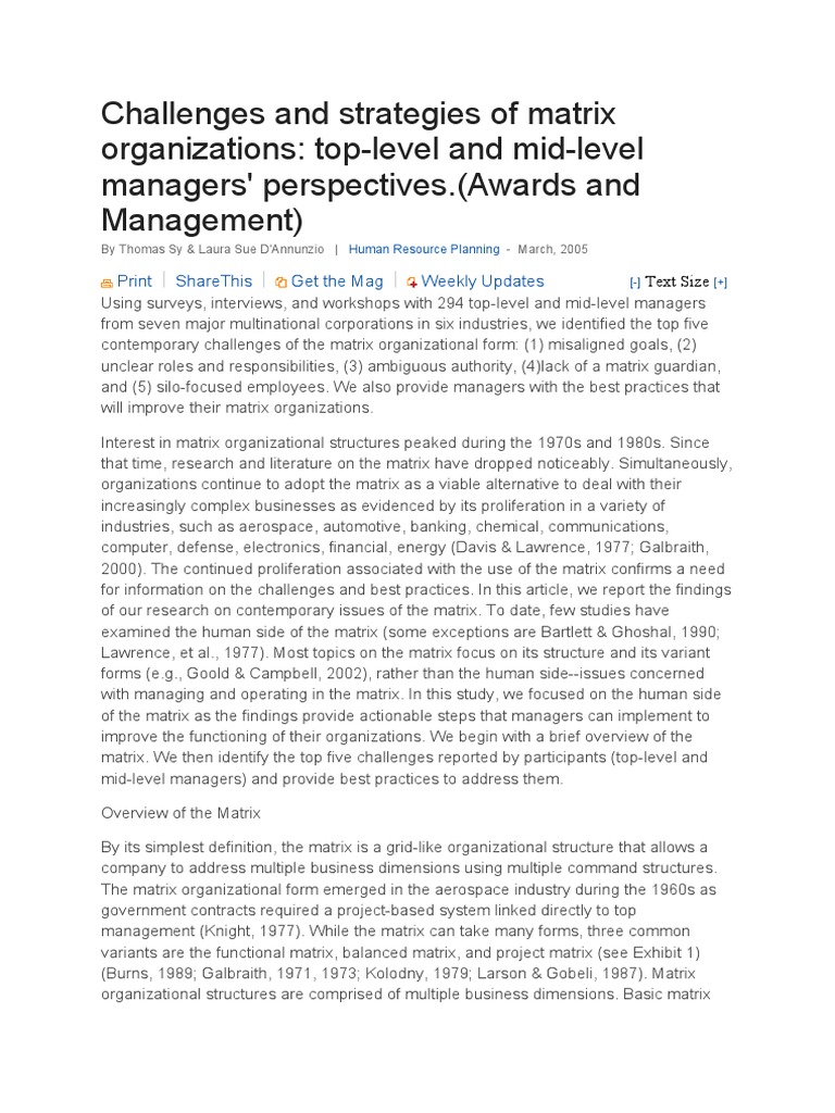 Challenges and Strategies of Matrix Organizations: Top-Level and Mid ...