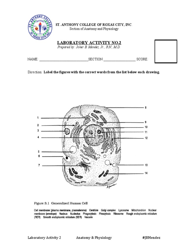 Laboratory Activity No.2: Direction: Label The Figures With The Correct ...