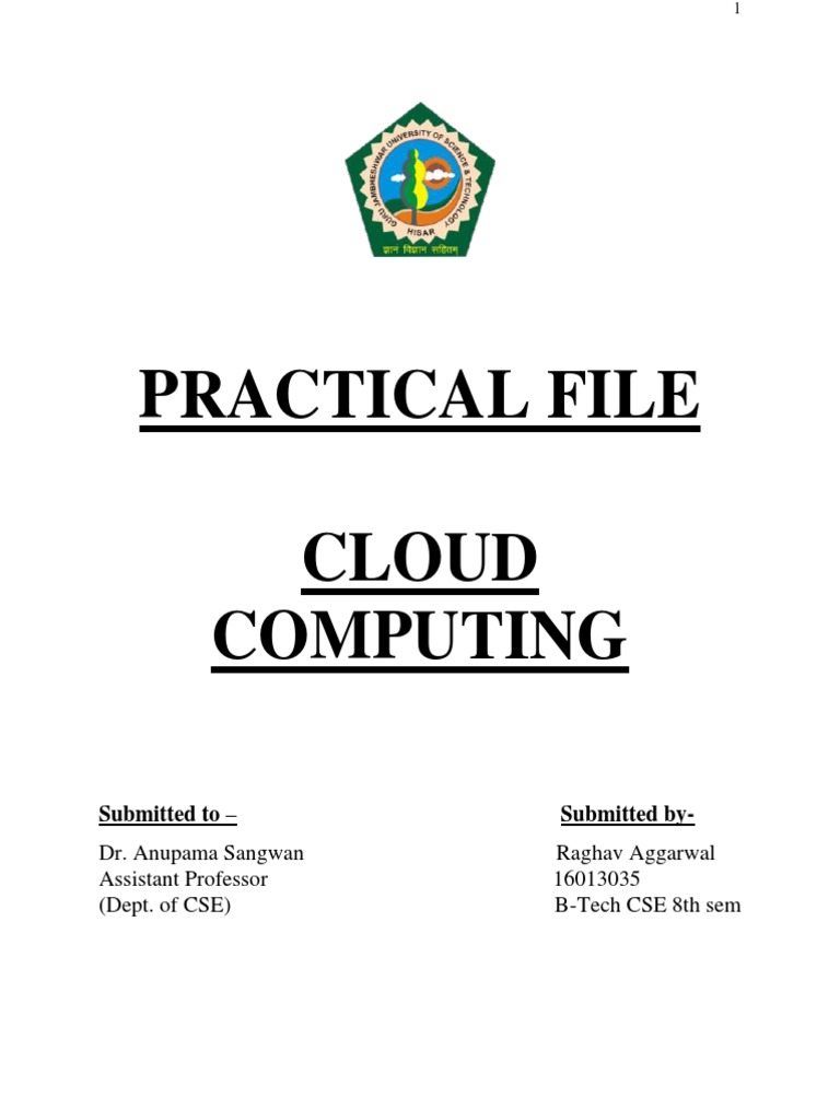 Cloud Raghav 1 | PDF | Computer Engineering | Computing