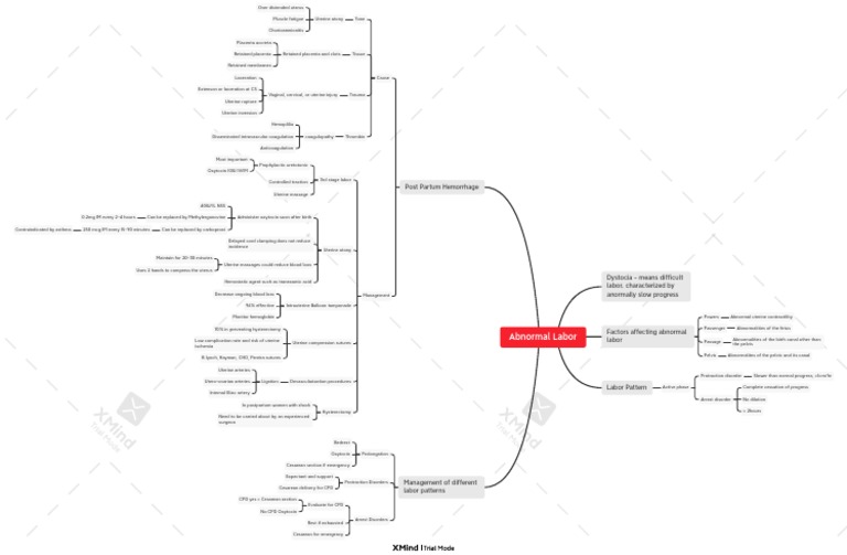 Abnormal Labor Concept Map | PDF | Childbirth | Motherhood