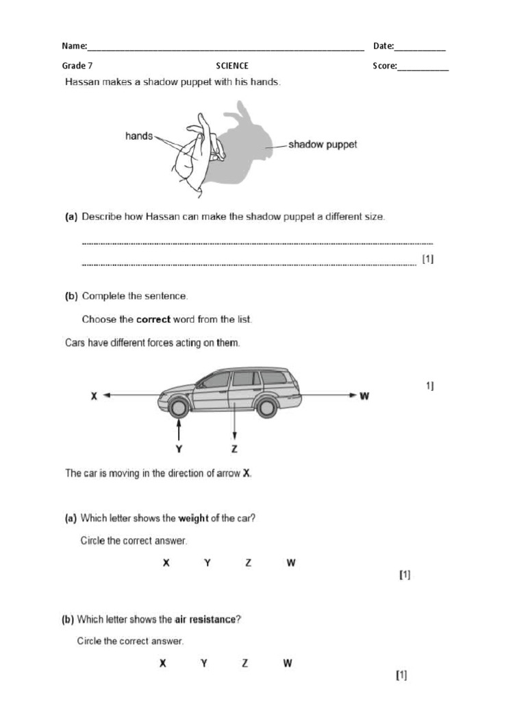 Grade 7 Science Review | PDF