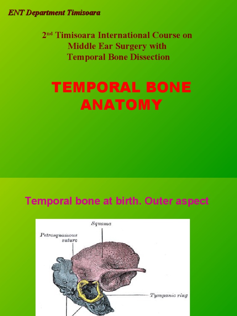 Temporal Bone Anatomy: 2 Timisoara International Course On Middle Ear ...