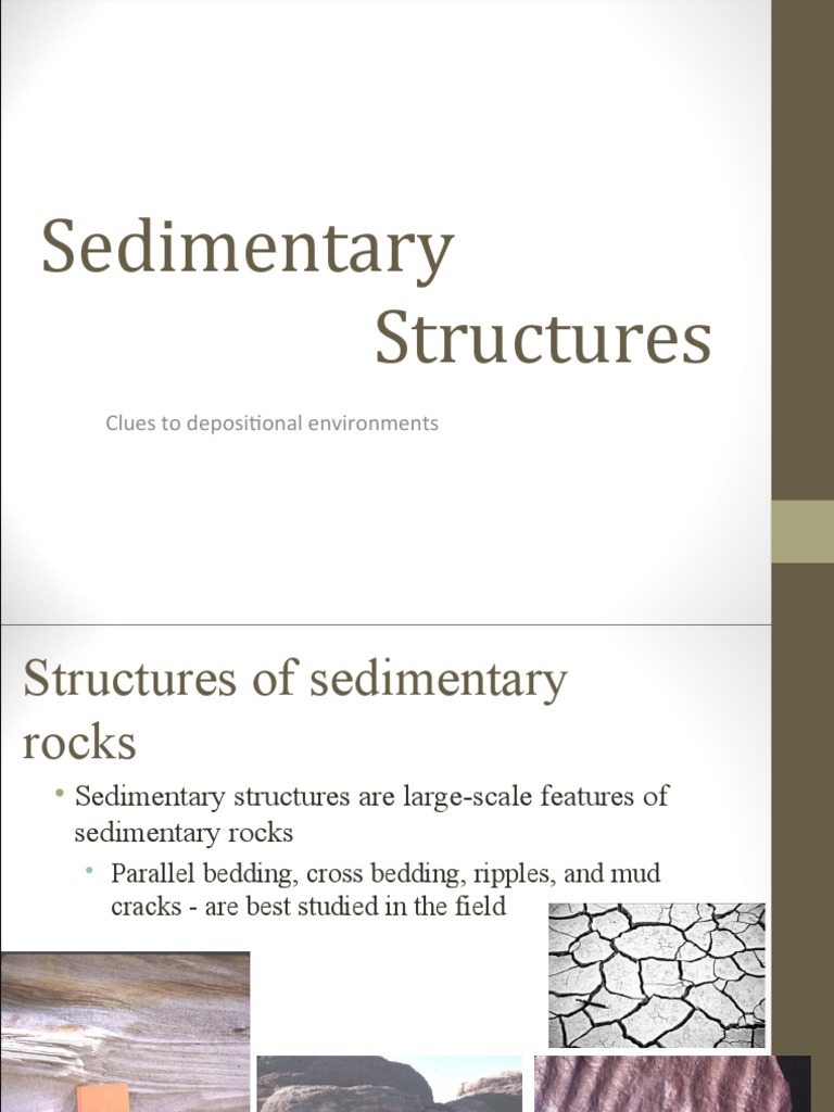 Sedimentary Structures: Clues To Depositional Environments | PDF ...