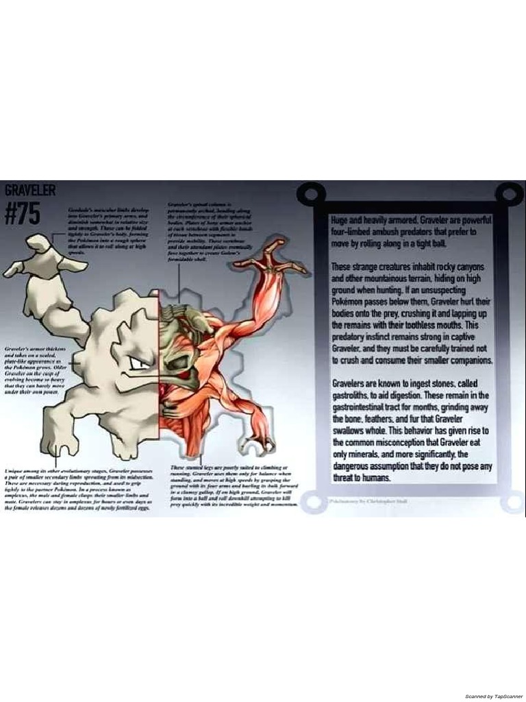 Anatomía Pokémon PDF | PDF