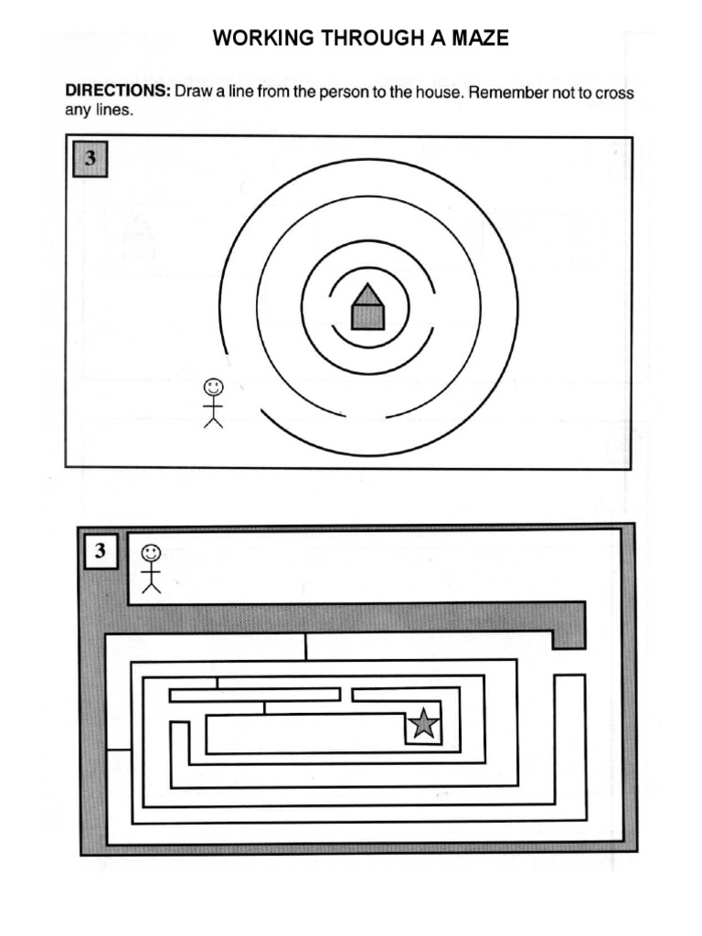 Working Through A Maze | PDF