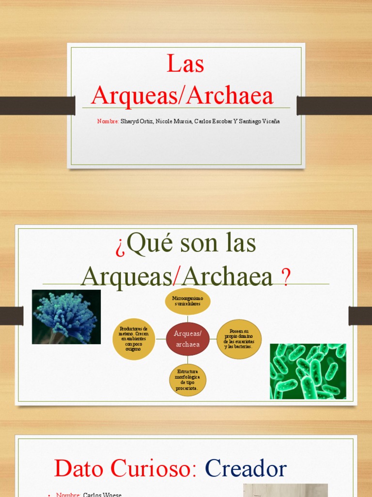 Las Arqueas | PDF