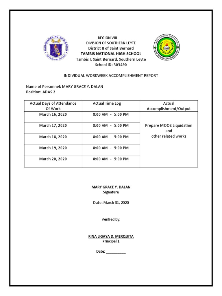 Individual Accomplishment Report | PDF