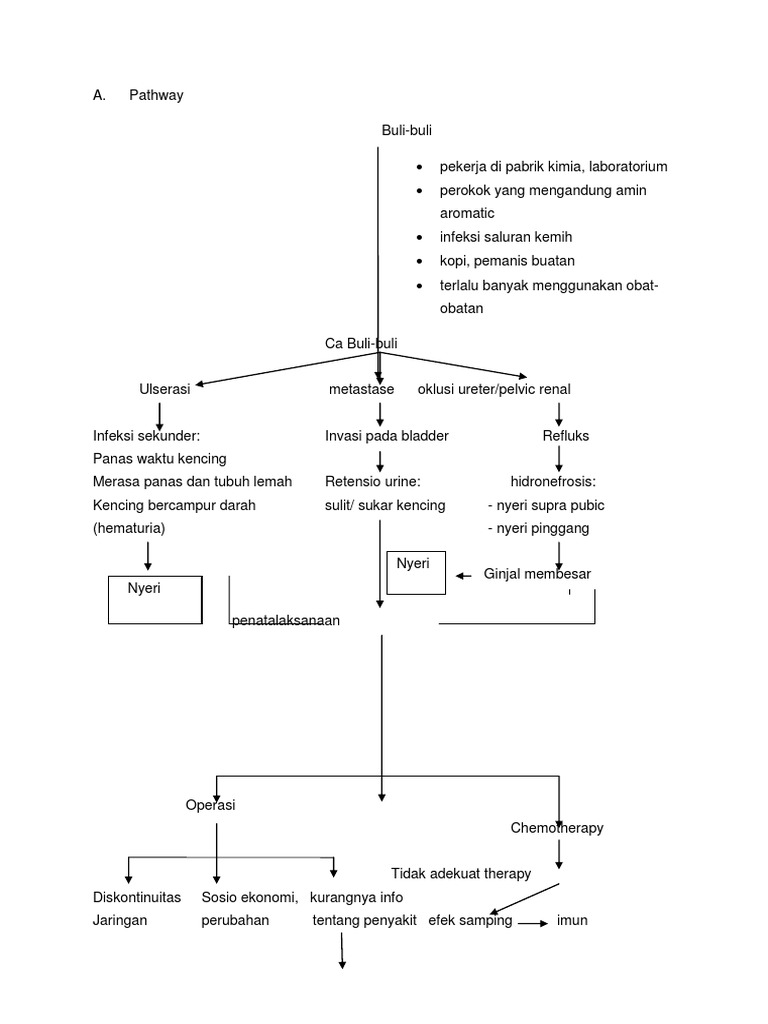 Pathway CA Buli PDF | PDF