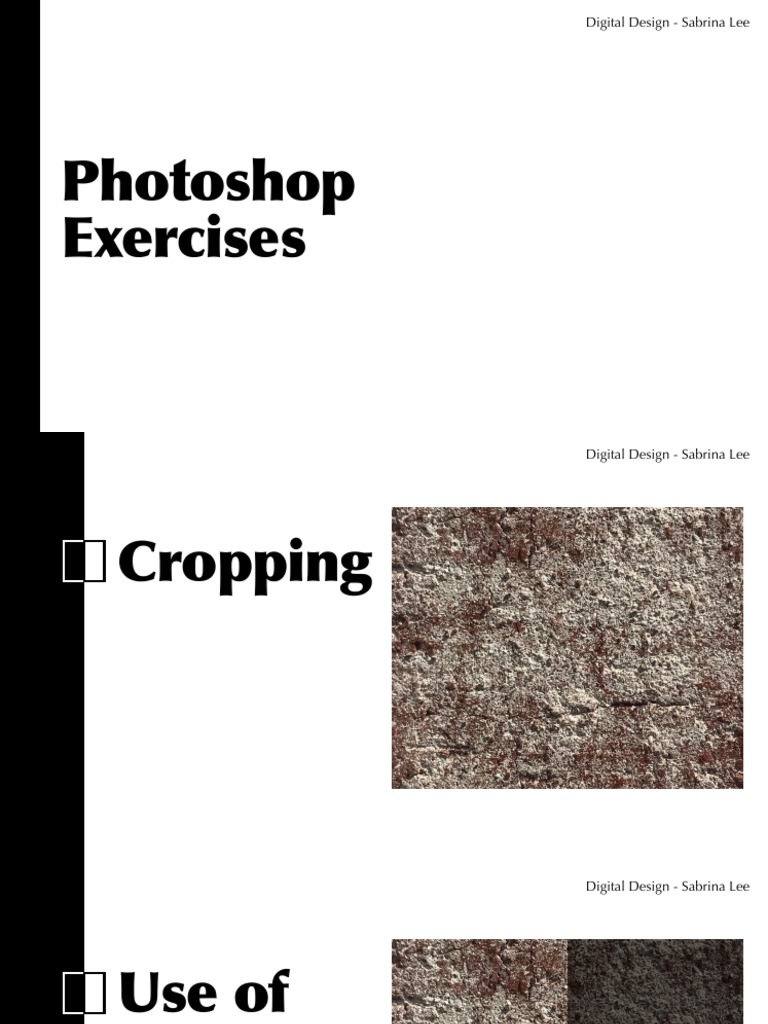 Photoshop Exercises: Digital Design - Sabrina Lee | PDF