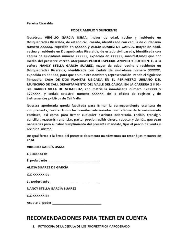 Poder Amplio y Suficiente | PDF | Gobierno | Business