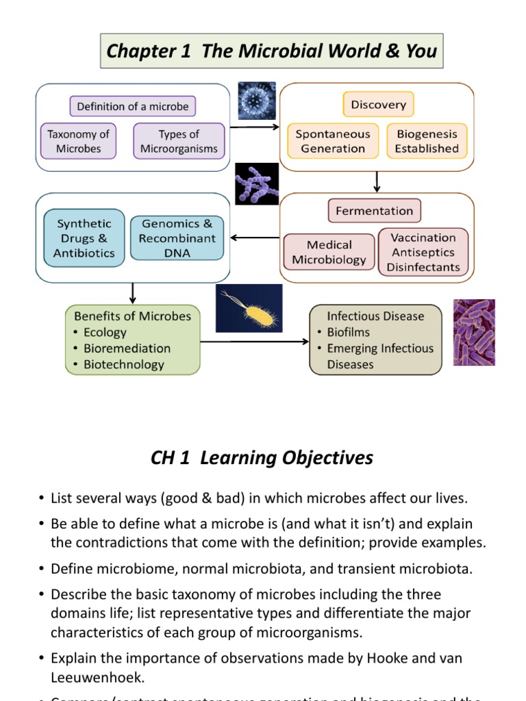 Microbiology Basics for Students | PDF | Microorganism | Louis Pasteur