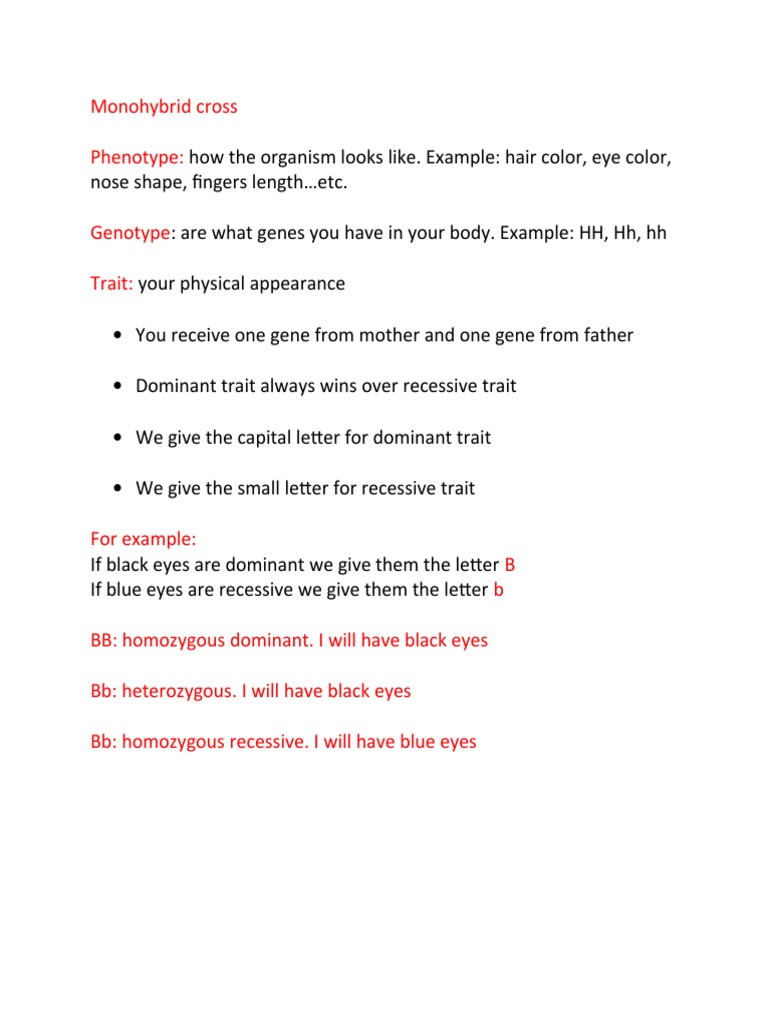 Understanding Genotype and Phenotype Through a Monohybrid Cross ...