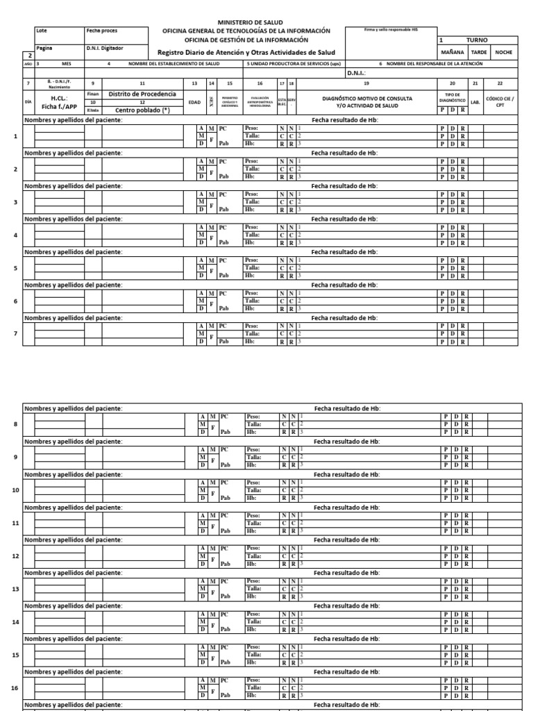 Formato de HIS Microrred Edificadores Misti (2hojas) PDF | PDF | Médico de atención primaria ...