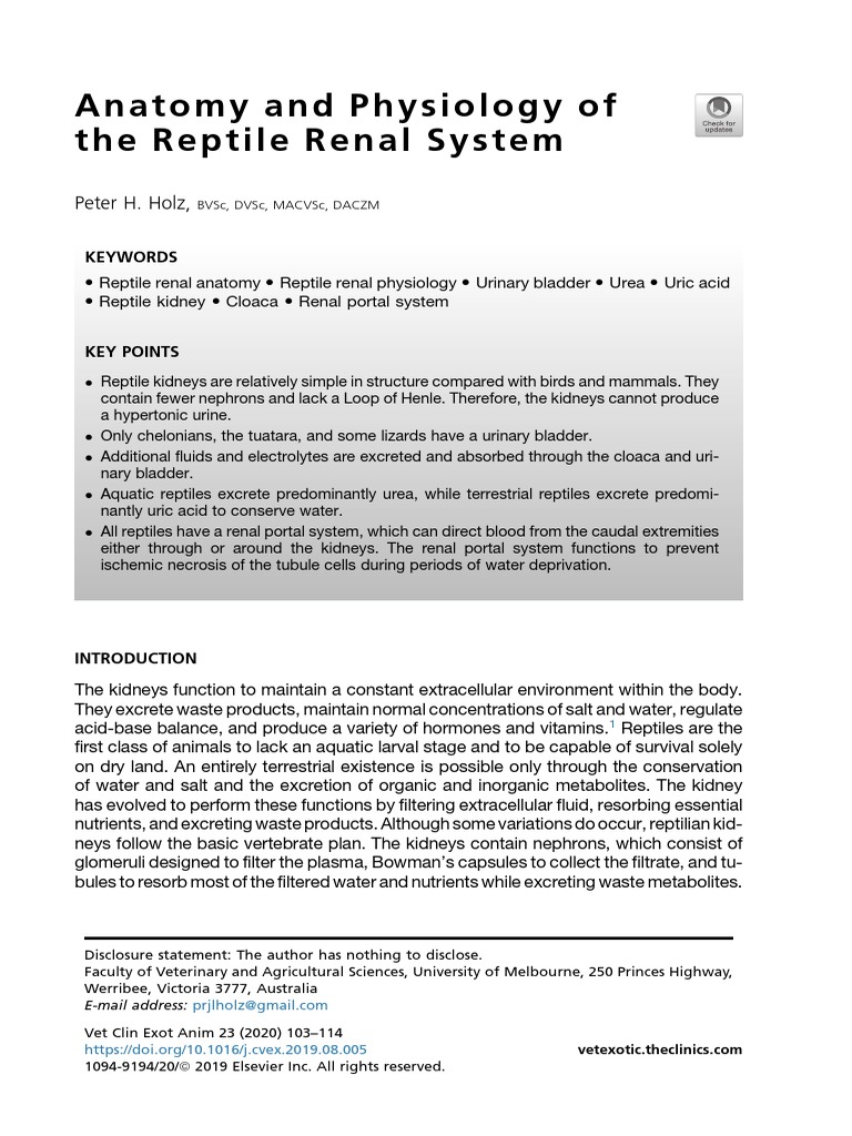 Anatomy and Physiology of The Reptile Renal System | PDF | Kidney | Reptile
