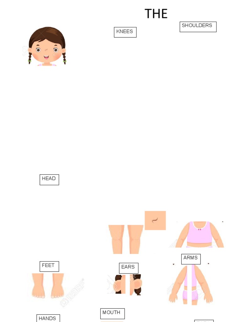 THE Body: Shoulders Knees | PDF