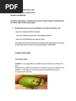 Glifosol - Herbicidas - Ficha Tecnica | PDF | Fotosíntesis | Biosíntesis