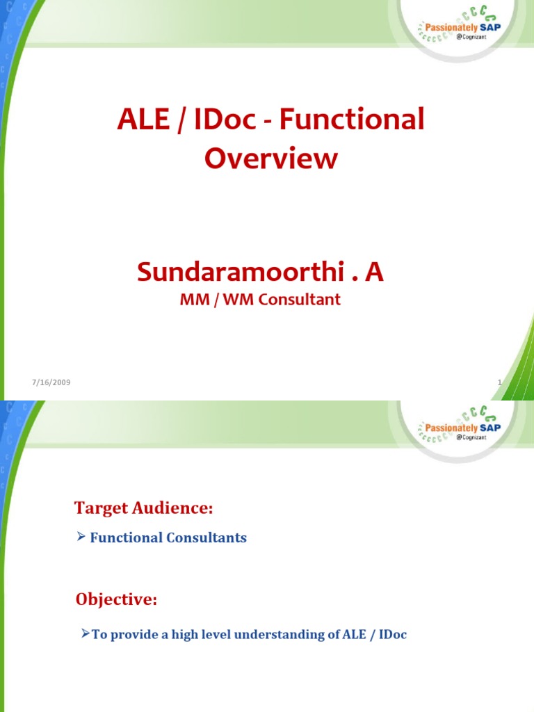IDoc Training for Functional Consultants | PDF | System | Sap Se