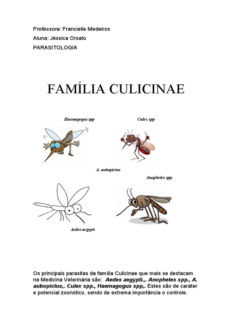 Parasitologia FAMÍLIA CULICINAE | PDF | Aedes aegypti | Mosquito