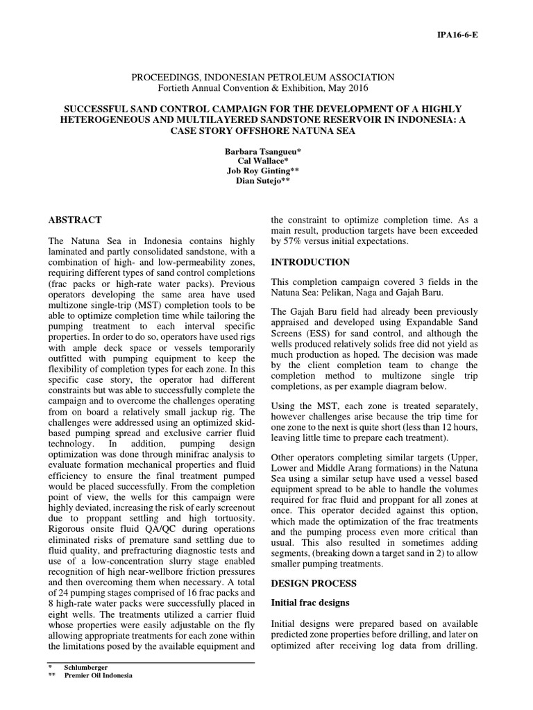 Ipa16 6 e PDF | PDF | Oil Well | Gel