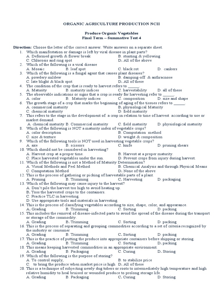 Oap Ncii Summative 4 Final Term | PDF | Vegetables | Plants