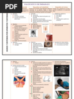 Clasificacion de Grannum | PDF | Placenta | Parto