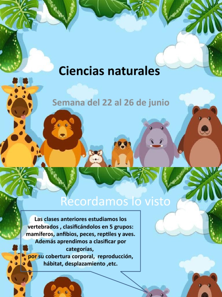 Clasificación de Vertebrados y Juegos | PDF