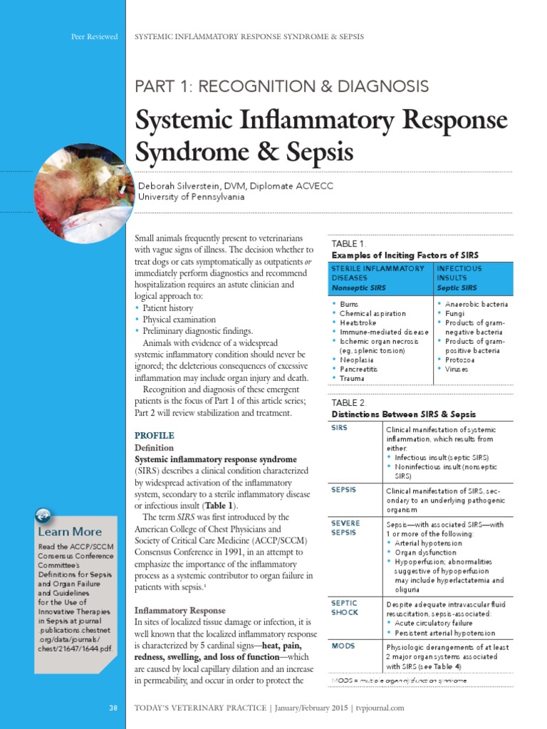 08 Sirs | PDF | Inflammation | Sepsis