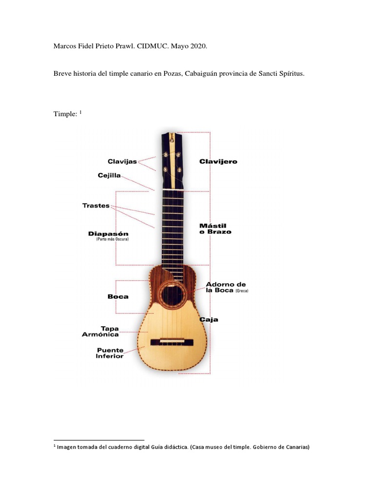 El Timple Canarios en Pozas, Marcos Prawl | PDF | Islas Canarias ...