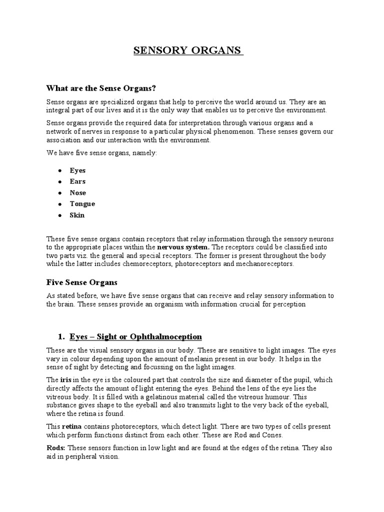 Sensory Organs: What Are The Sense Organs? | PDF | Senses | Eye