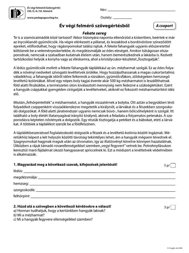 Pip 1705 Szov Irod Magy 4o FL Felm 10 | PDF