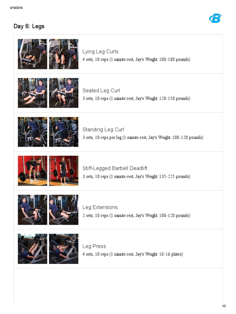 Day 6: Legs: Lying Leg Curls | PDF