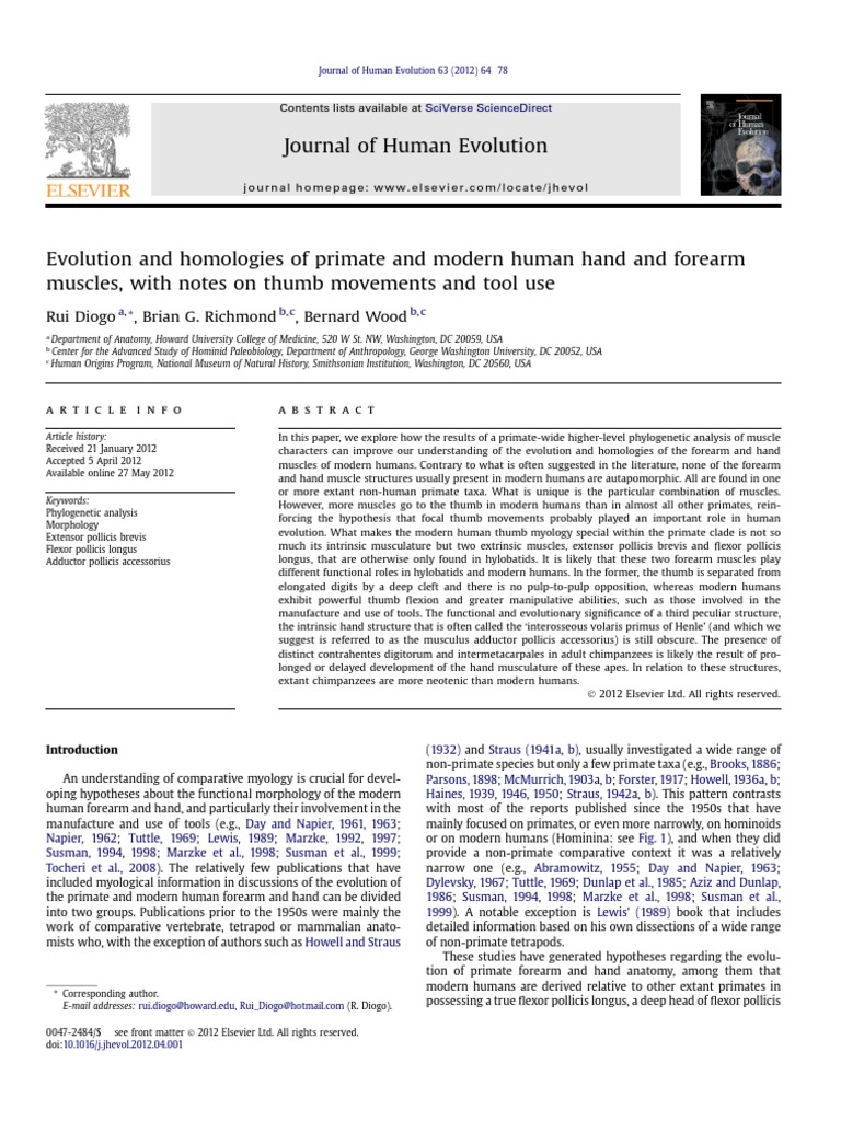 Primate Hand Muscle Evolution Insights | PDF | Hominini | Thumb