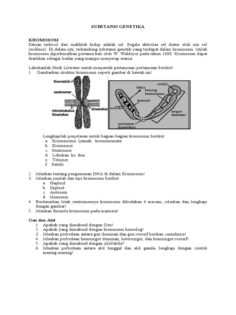 Lks SUBSTANSI GENETIKA | PDF