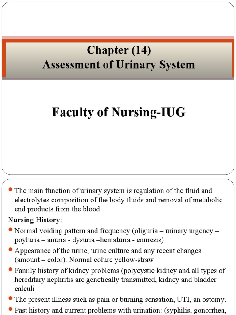 Chapter (14) Assessment of Urinary System: Faculty of Nursing-IUG | PDF ...