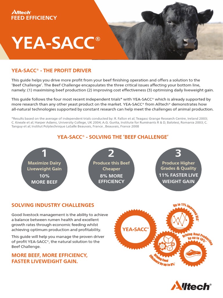 Yea-Sacc® - The Profit Driver: 10% More Beef 8% More Efficiency 11% ...