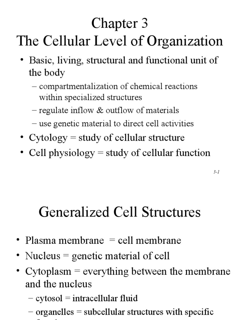 The Cellular Level of Organization: - Basic, Living, Structural and ...