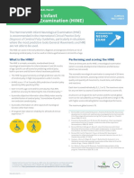 VNEST - Verb Network Strengthening Treatment A Step by Step Guide | PDF