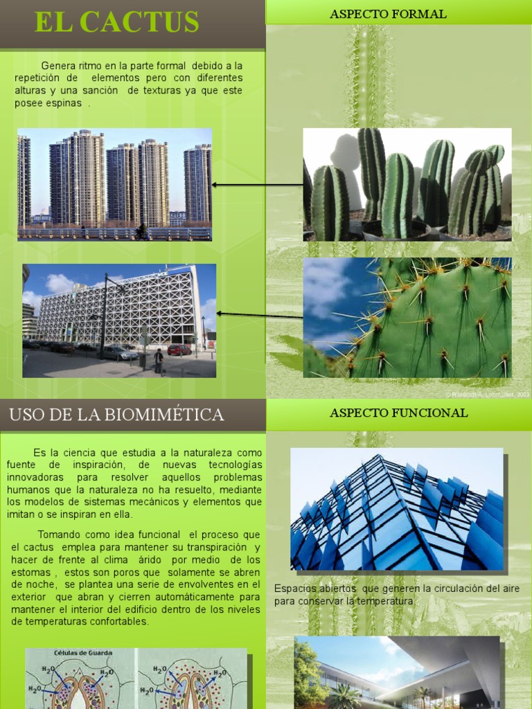 Concepto Generador El Captus Pdf