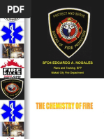 Application For Fsec Fsic Form | PDF | Fire Safety | Government