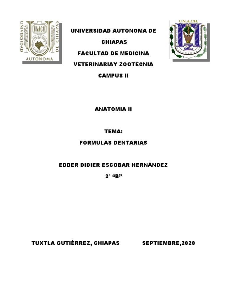 Formulas Dentarias | PDF | Anatomia dental | Diente