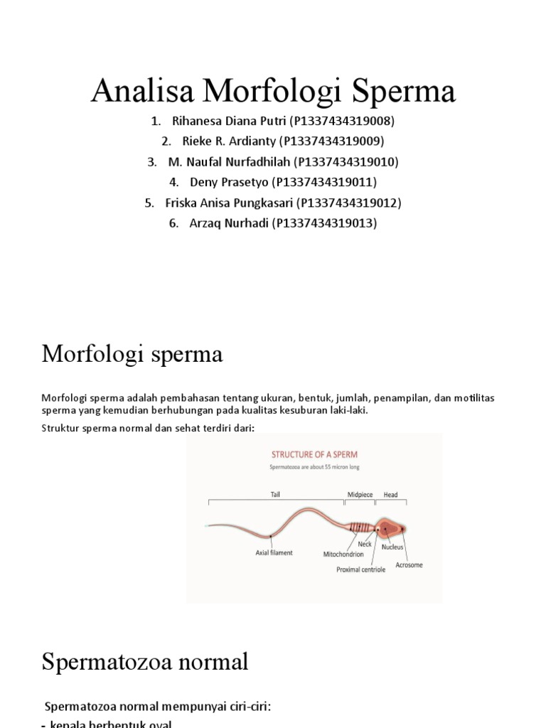 Analisa Morfologi Sperma | PDF